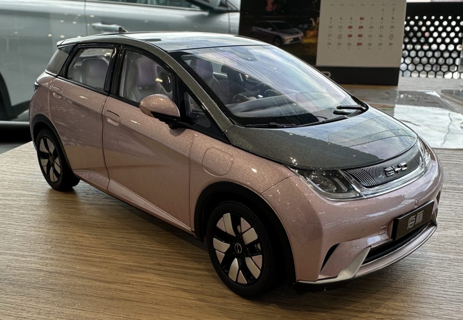 BYD V2L ケーブルの実験